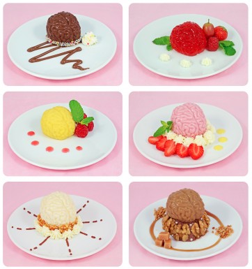 The proof of the pudding is in the brain – a standardized brain-shaped ...