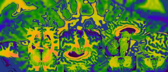 The Seabed is populated by mysterious creatures. Composition from T1 ...